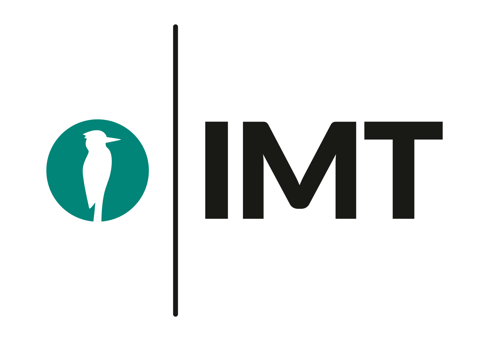 IMT – Integral Medizintechnik AG – Specht